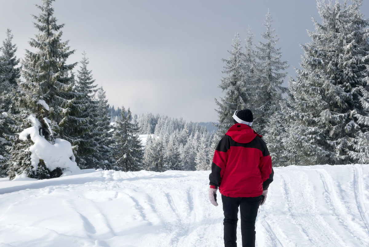 4 trips you can take between Christmas and New Year – LOOW